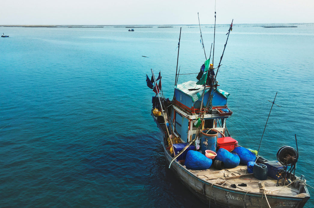 Robalo Master Brasil 2025 acontece em Cubatão neste fim de semana ...